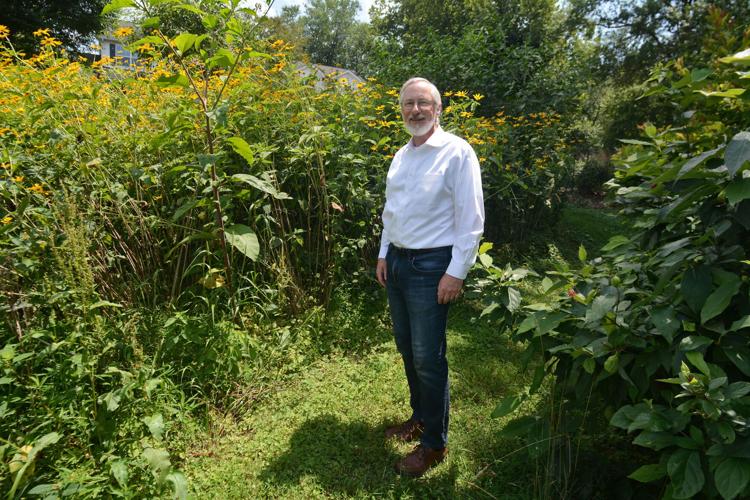 Economist, Rural Advocate Ellis Runs for Supervisor on Slowing Development, ‘Political Courage ...