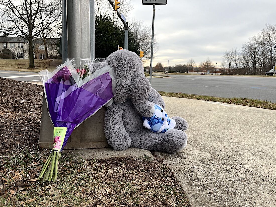 Student Struck, Killed By School Vehicle Near Stone Bridge High School ...