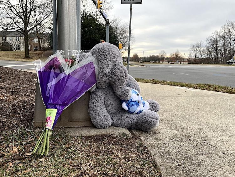 Student Struck, Killed By School Vehicle Near Stone Bridge High School ...