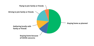 Readers Poll: Holiday Travel | Archives | loudounnow.com