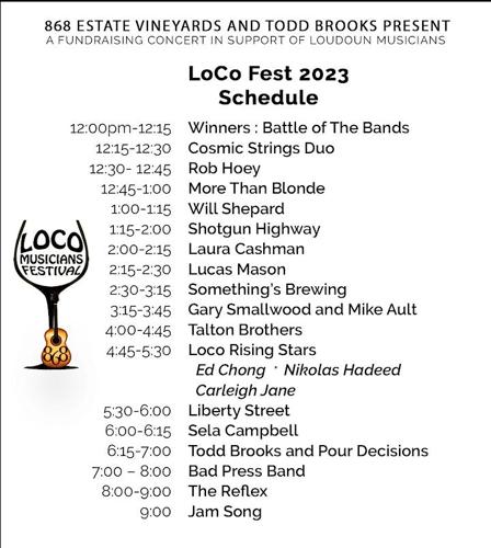 Loudoun Musicians Join Forces for LoCo Fest on Sunday | Get Out Loudoun ...
