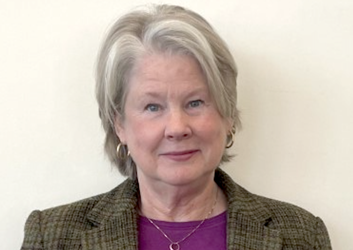 On The Ballot: Hamilton Mayor & Town Council | | loudounnow.com