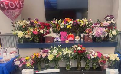 Ashburn Ice House Coach, Local Skaters Killed in Potomac River Plane ...