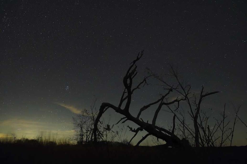 A Loudoun Moment: A Starry Night | A Loudoun Moment - Photos by Douglas ...