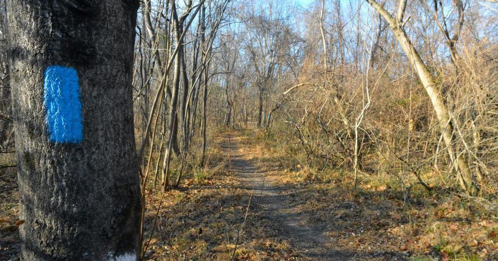 Bles Park to Close for Construction Until Next Summer | Loudoun ...