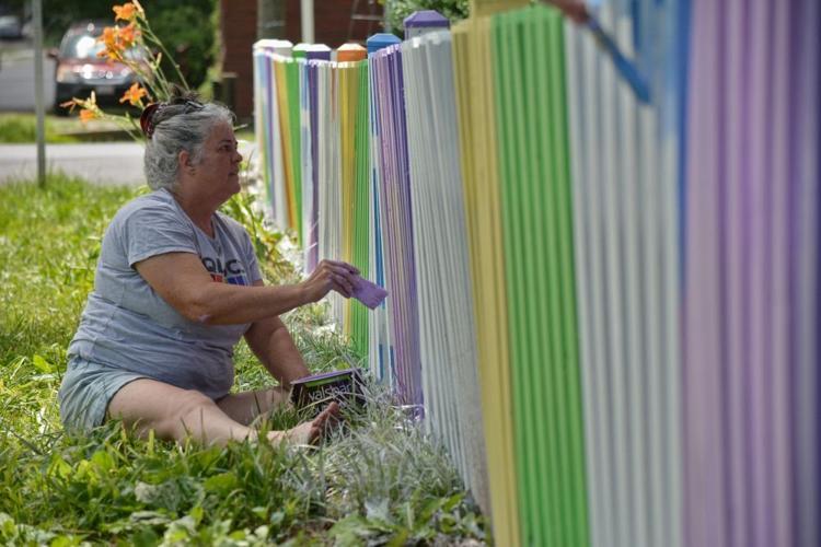 Small Town Pride: Western Loudoun’s 'Rainbow Houses' Create Community ...