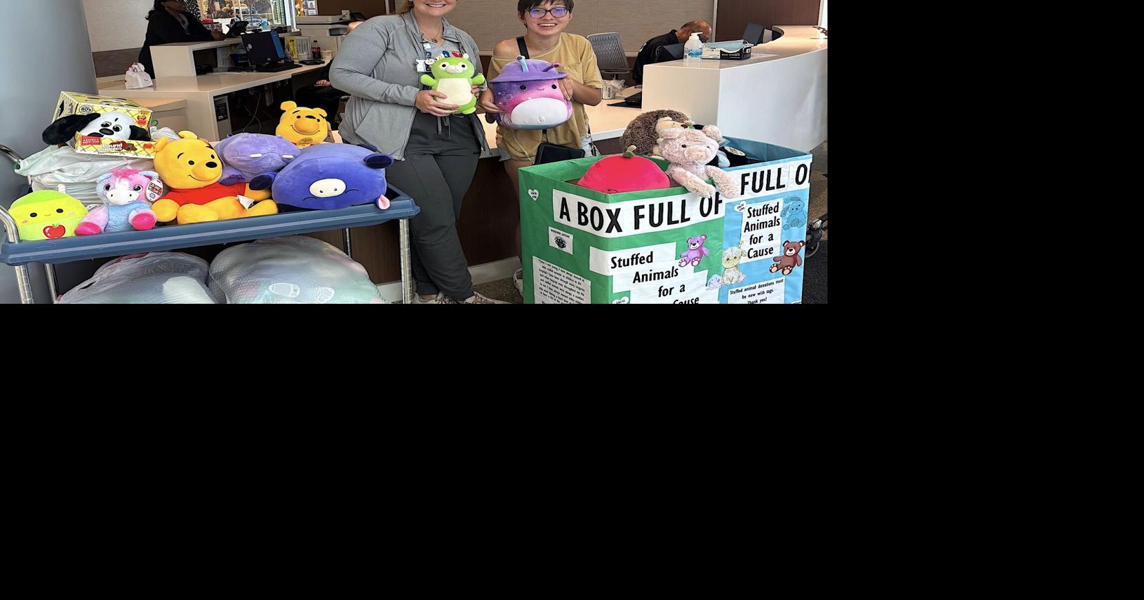 A Box Full of Hugs: Student Capstone Project Donates Stuffies to ...