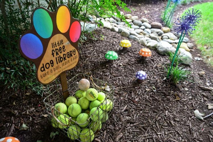 In Leesburg, Kindness is Contagious: Mother and Daughter Team Builds ...