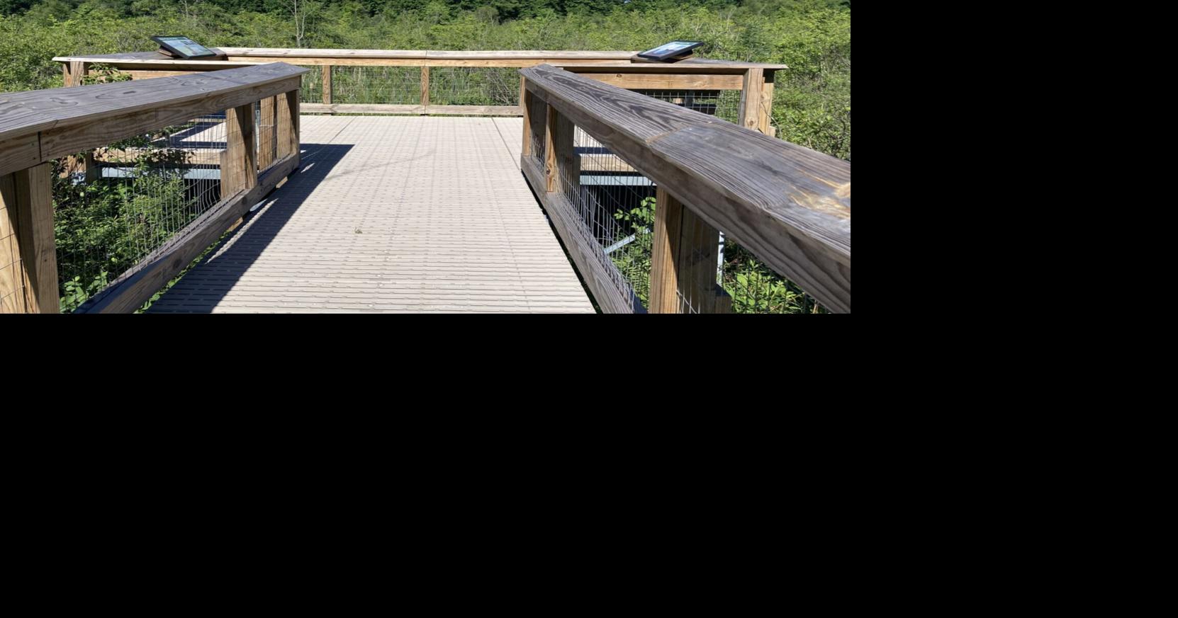Shirley Heinze adds 93 acres to Lydick Bog Nature Preserve | People And ...
