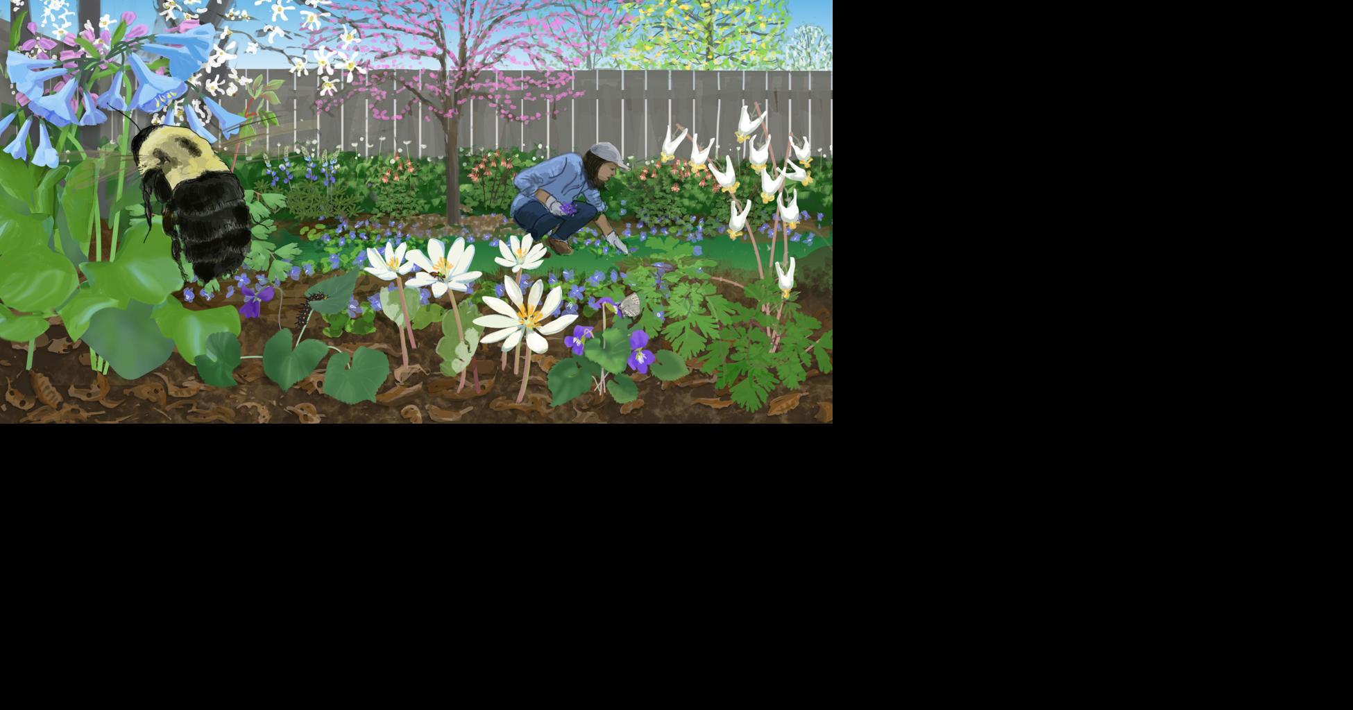 Green Drinks program to focus on saving pollinators | Local News ...