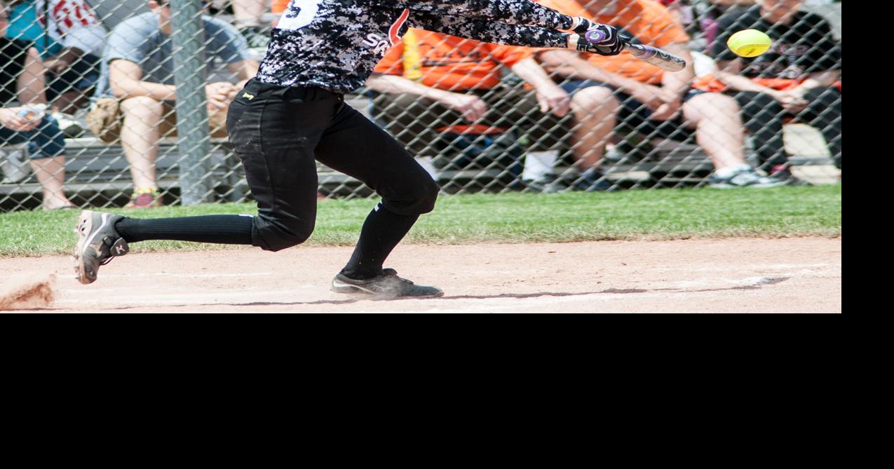 La Porte, Chesterton advance in 4A softball sectional | Sports ...