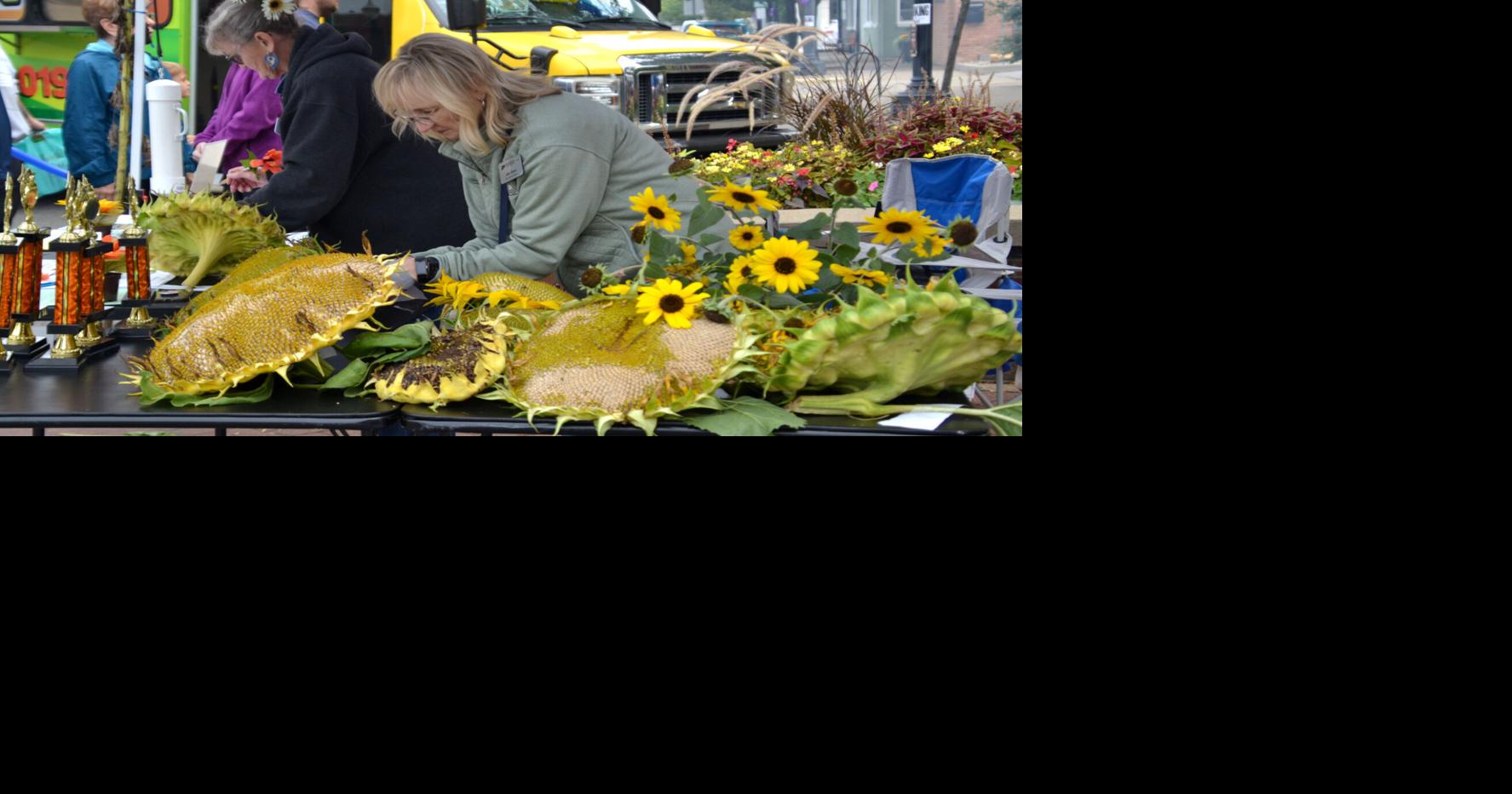 La Porte Sunflower Fair returns for 25th year | Local News | lpheralddispatch.com