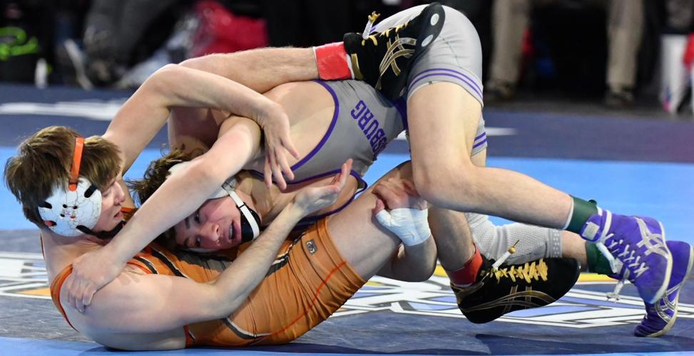 Not according to plan: La Porte's Jackson falls in state championship ...