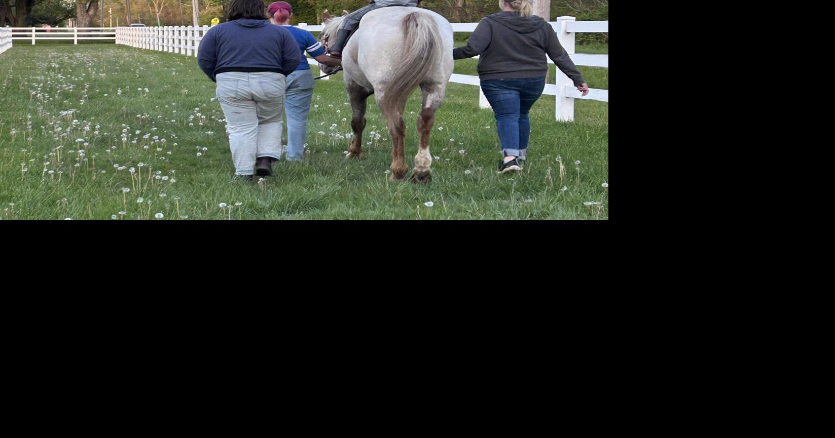 Reins of Life offering free volunteer training for equine-assisted ...