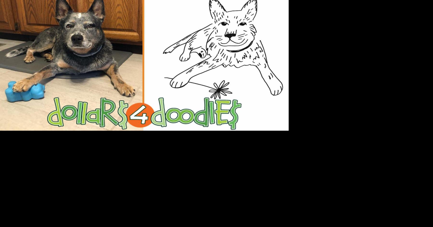 One-of-a-kind doodle of your pet from Michiana Humane Society | Local ...