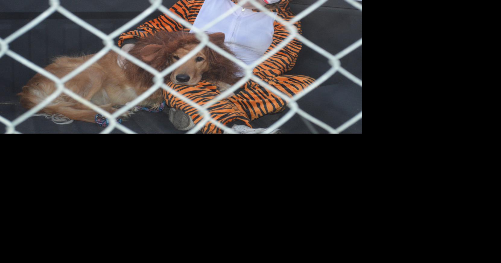 A treat for humans and animals in La Porte | People And Places ...