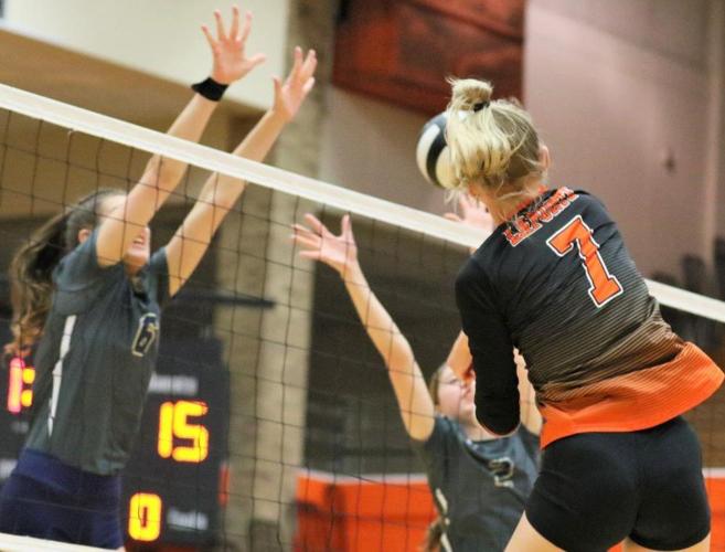 No big thing: Holtz, Maesch pack a powerful hitting punch for La Porte ...