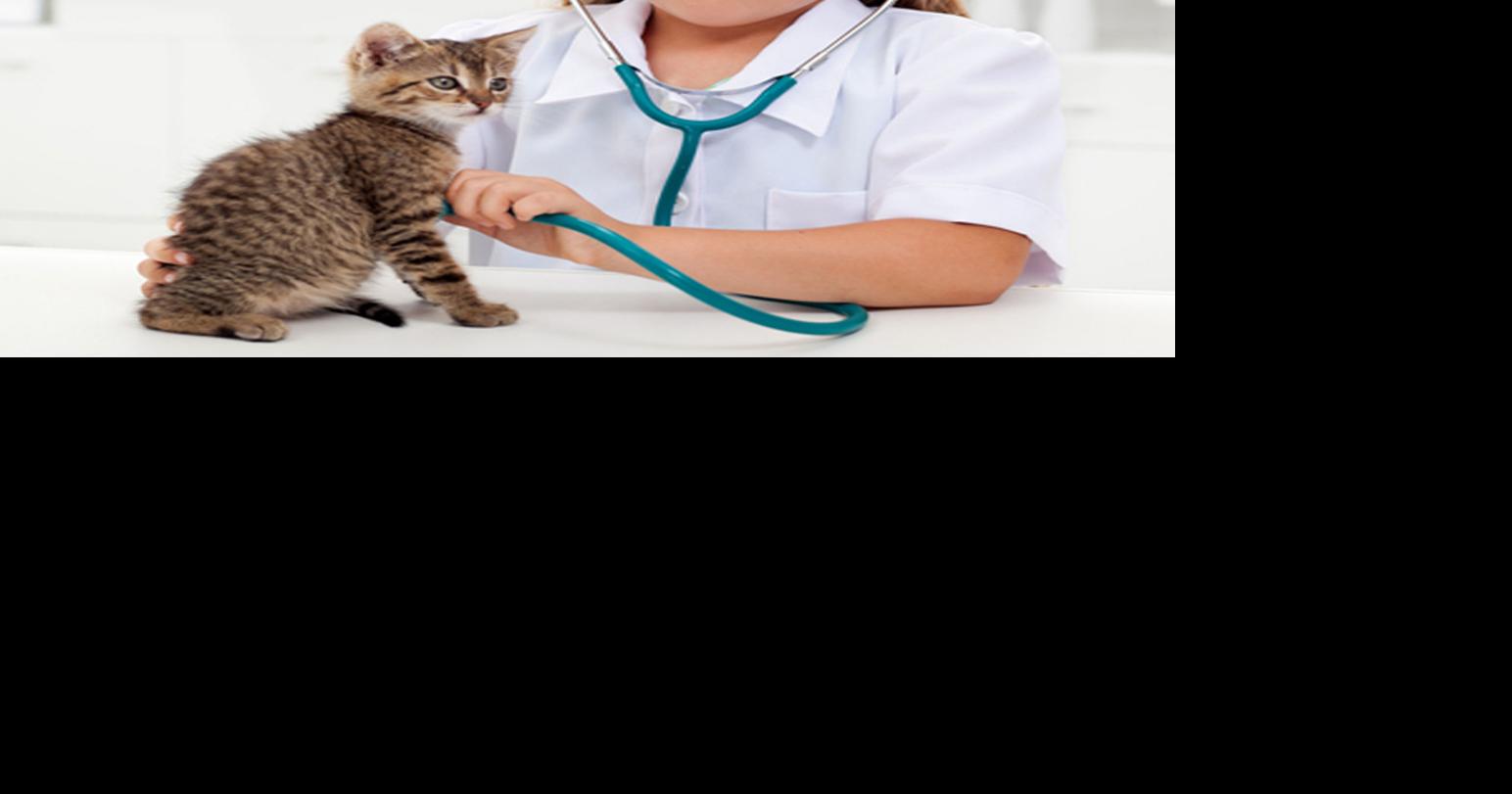From shadowing a vet to yoga with goat, Michiana Humane Society ...