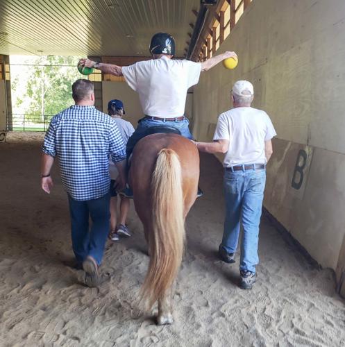 Reins of Life offers free training for volunteers for equine programs | On The Go ...