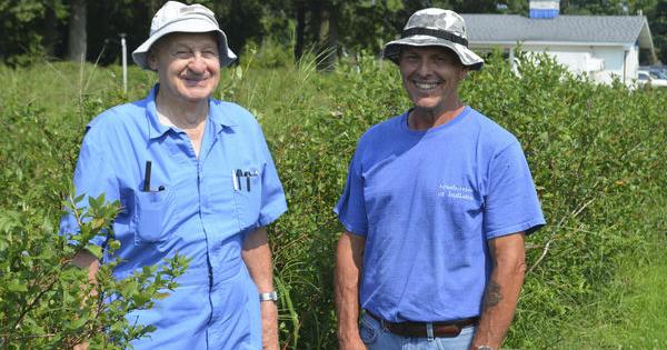 Blueberries of Indiana celebrates 70 years | Features ...