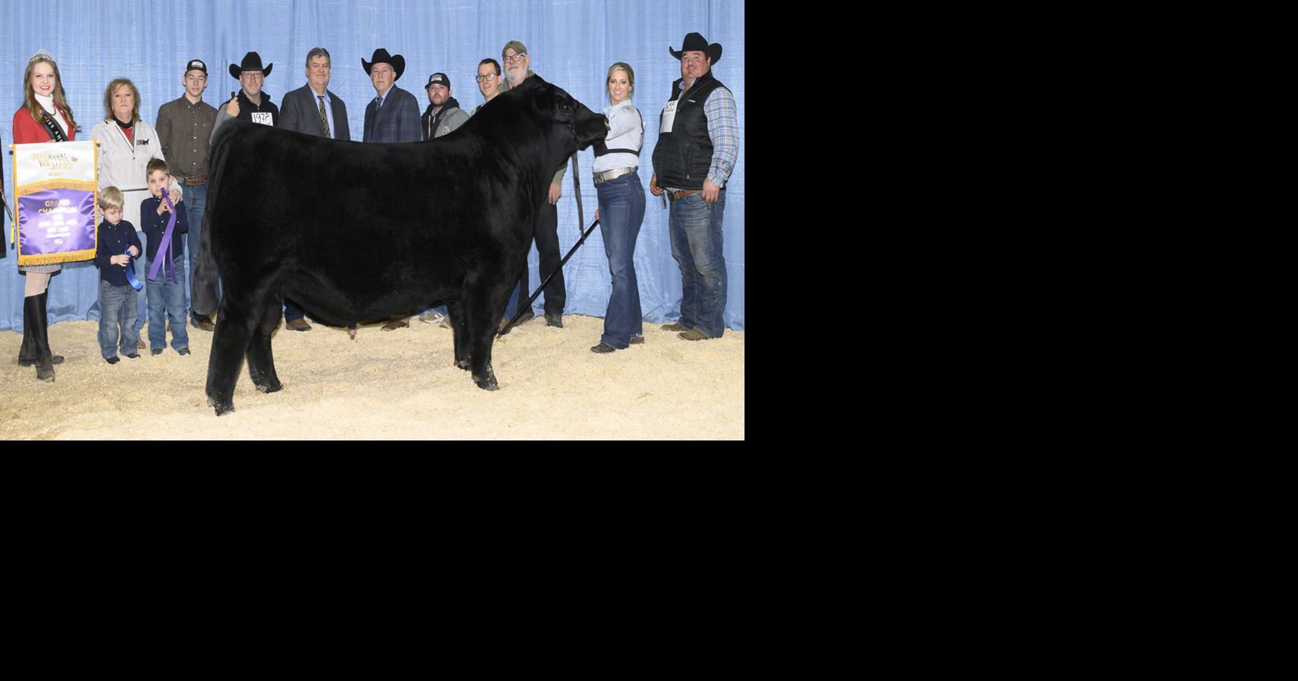 MC breeder shows Grand Champion Bull | Business | lpheralddispatch.com