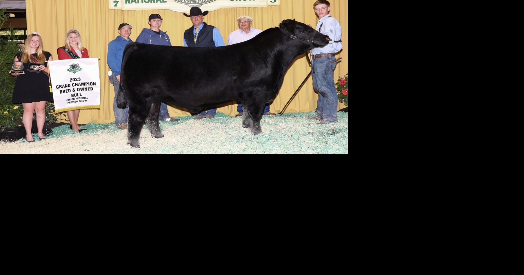 Michigan City's Nowatzke shows grand champion bull | Local News ...