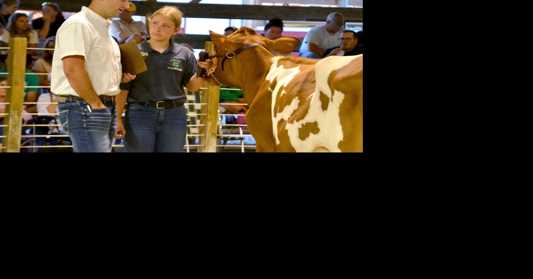 Madison Scarborough named Supreme Champion Showman at La Porte County ...