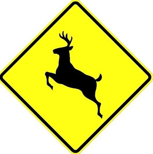 Indiana State Police offer safety tips for avoiding deer on the ...