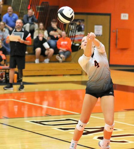 Just scratching the surface: La Porte's Anglin coming into her own ...
