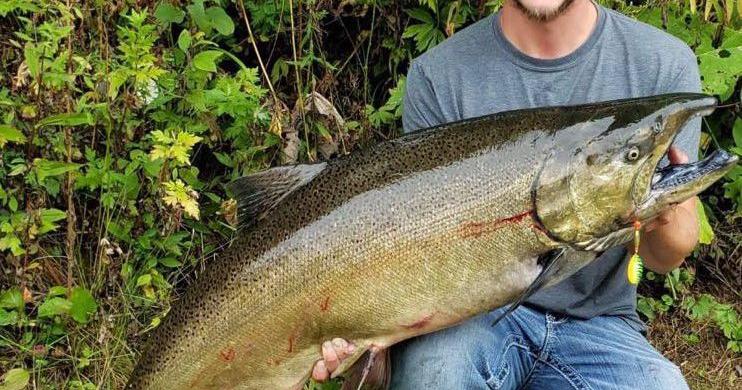 DNR outlines 2020 stocking plan for area fishing | Sports ...