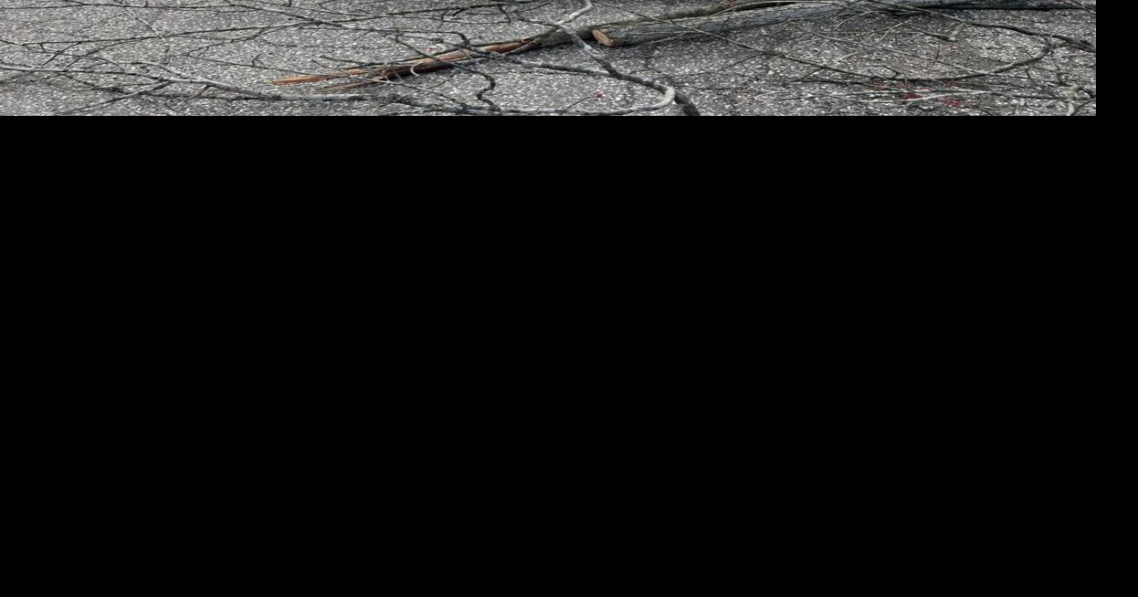 High winds blast northern Indiana, cause power outages | Local News ...