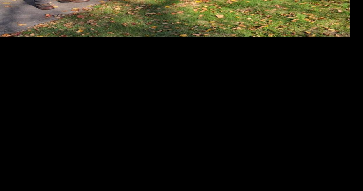 MC tree canopy survey nears completion | Local News | lpheralddispatch.com