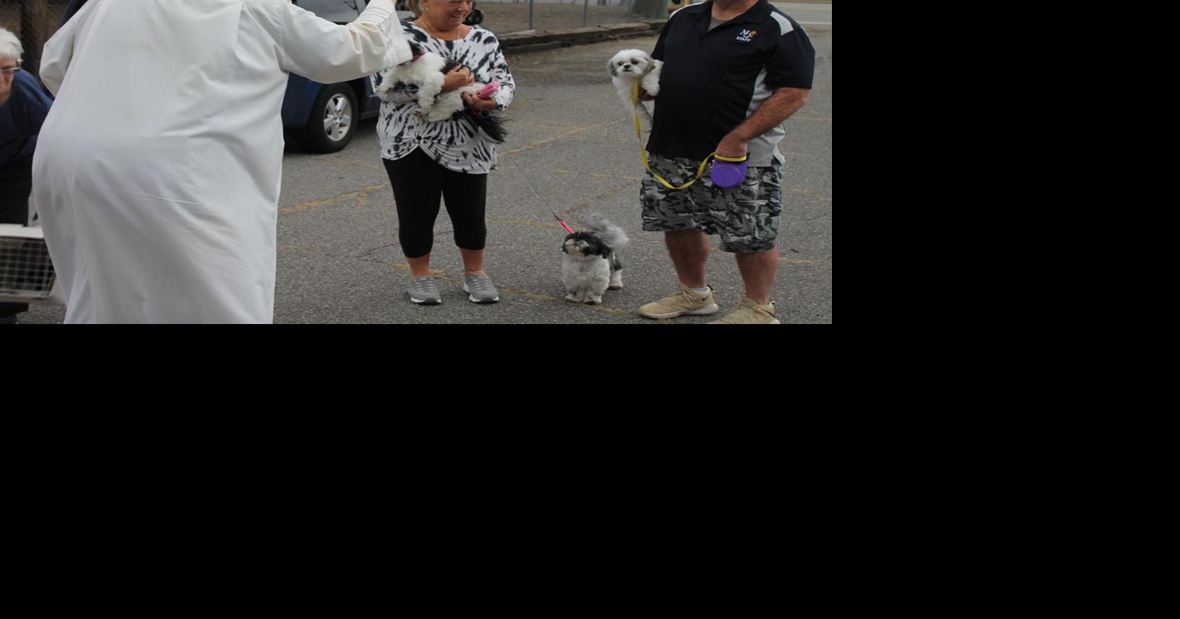 Blessings for all, even those on four legs | Local News ...