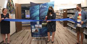 Local News | lpheralddispatch.com