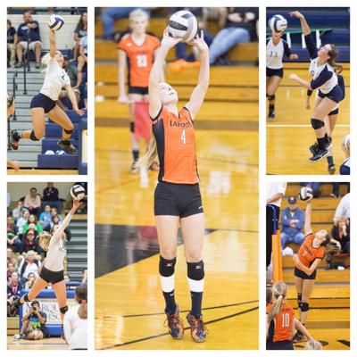 The Divine Nine | Sports | lpheralddispatch.com