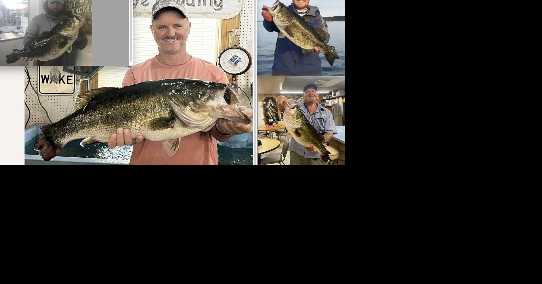 Recapturing of bass documented after entry to TBLA Lunker Bass Program ...
