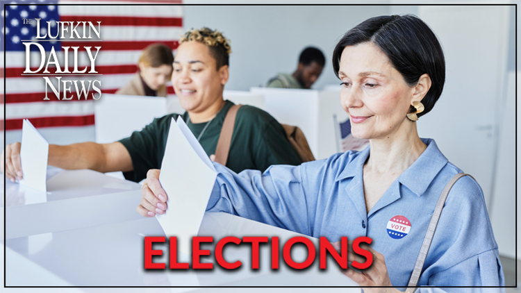 Early voting and polling places for the March Primary Election | Local ...