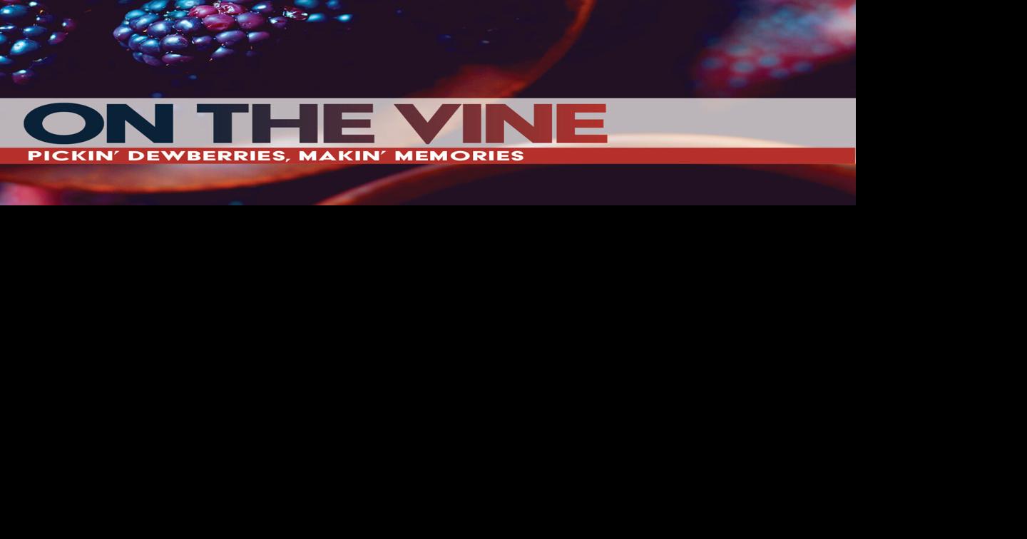 On The Vine: Pickin' Dewberries, Makin' Memories | Charm | lufkindailynews.com