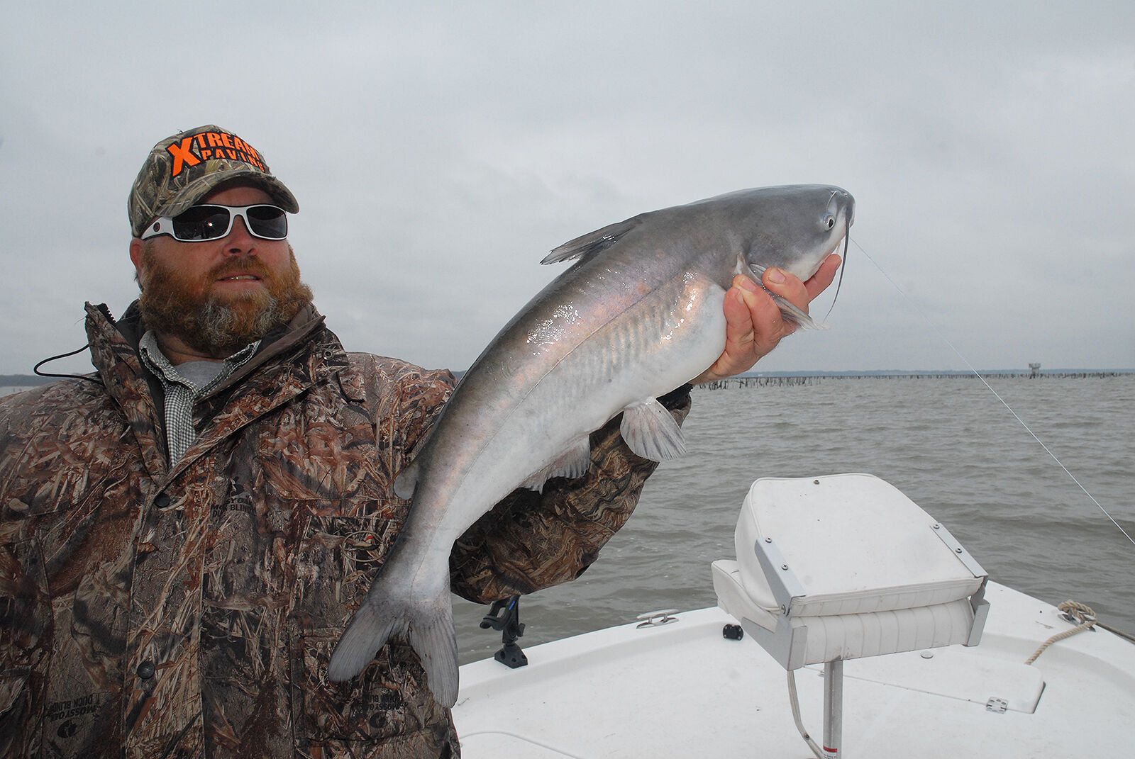 Reel cats: A lesson plan for whiskered fish on Texas lakes, rivers ...