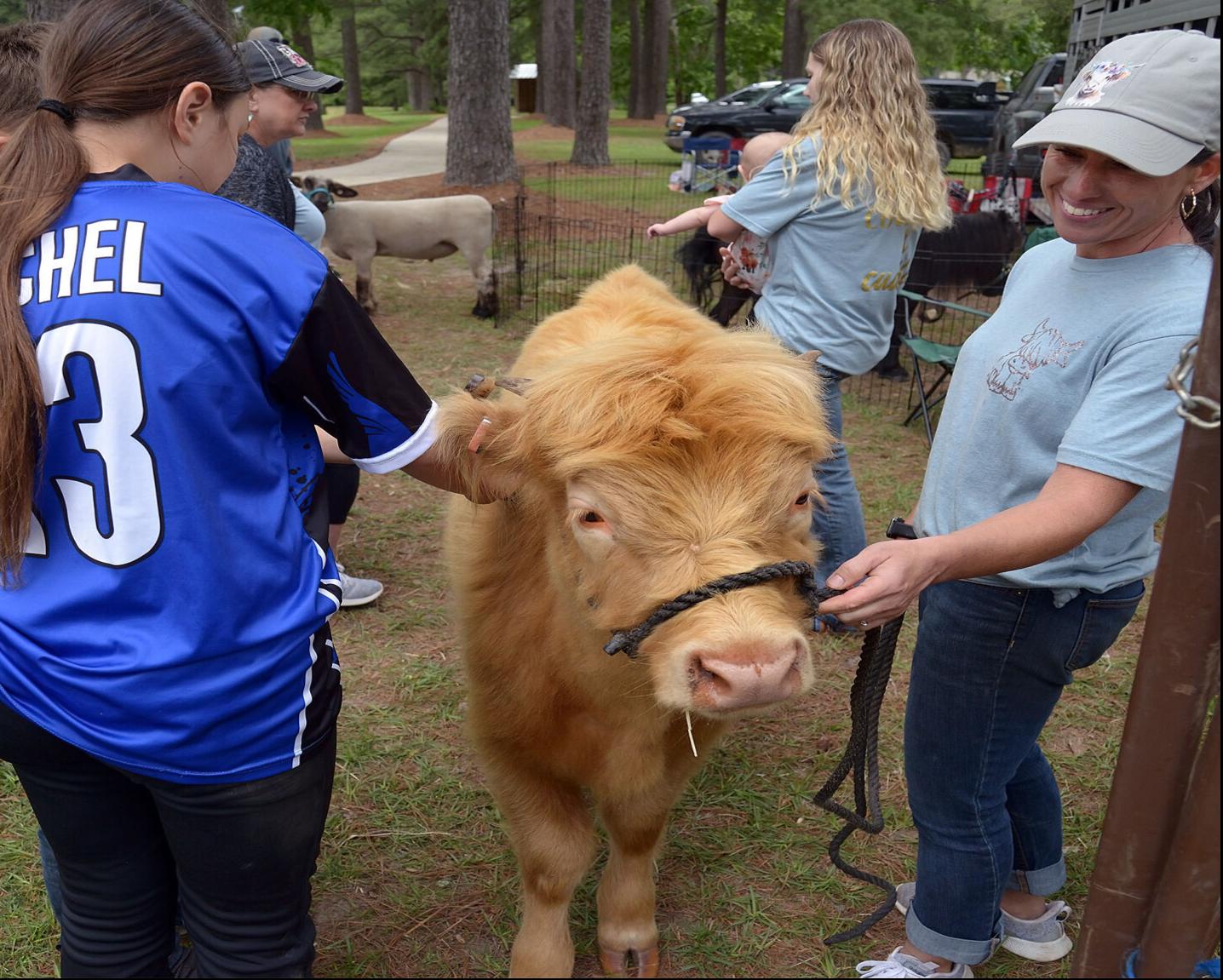 First Huntington Homestead Festival harkens back to an earlier East ...