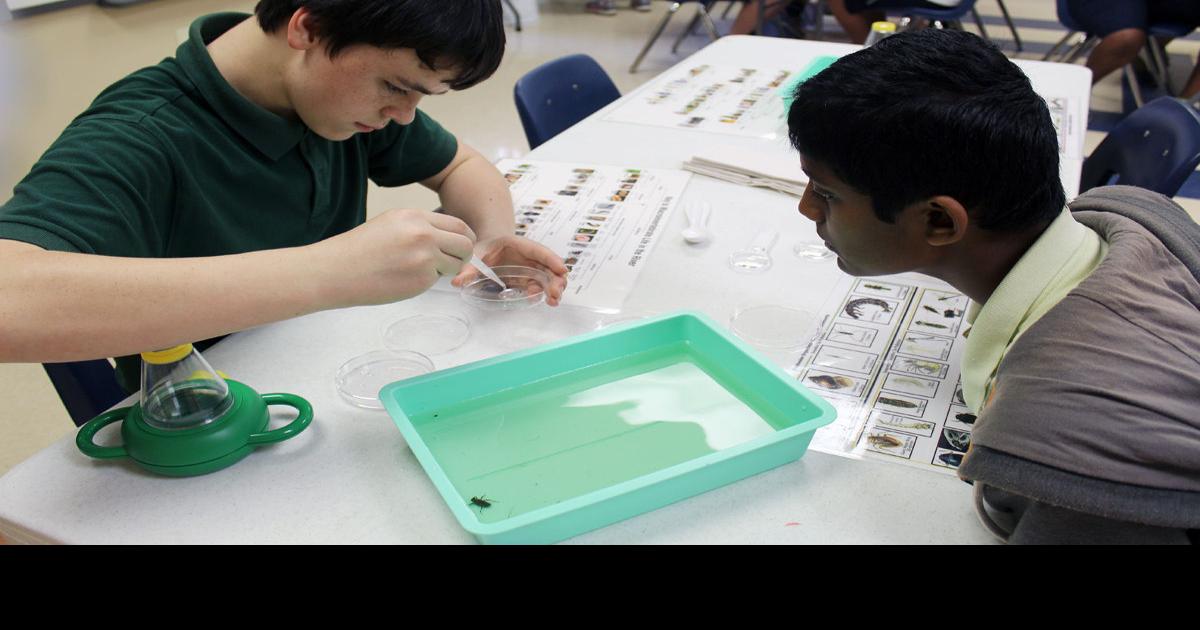 Getting their hands dirty: LMS STEM students conduct water quality ...