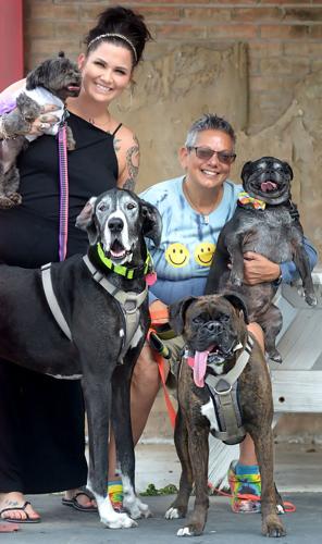 Road dogs | Community | lufkindailynews.com