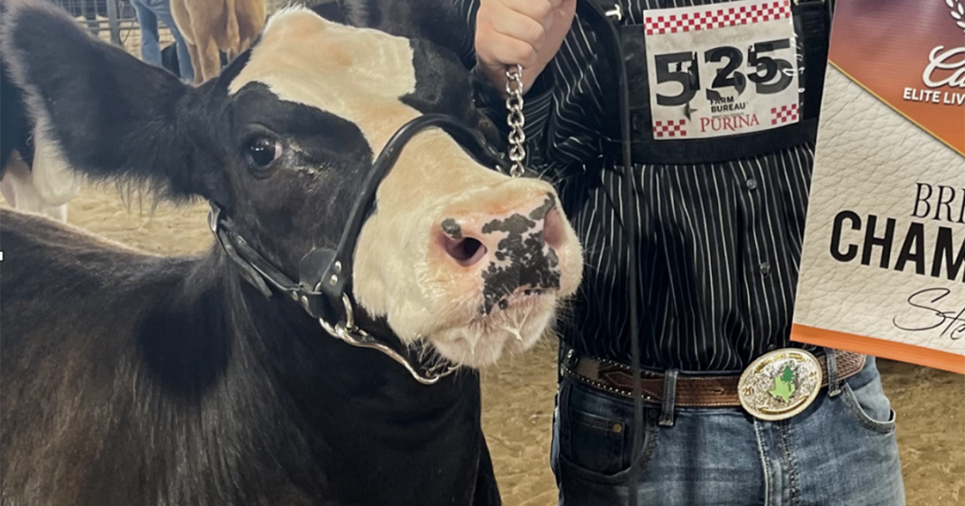 EXTENSION NEWS: Garrett Thornton will show his last market steer at the ...