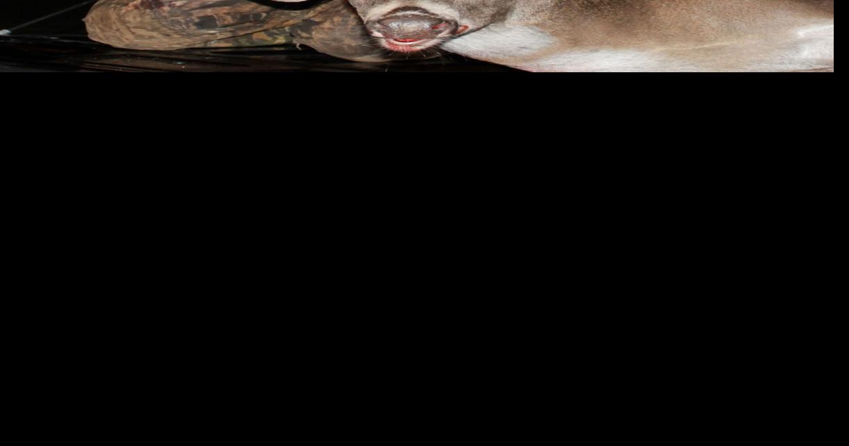 Talk of the town: Whopper 16-pointer captivates deer hunters around ...