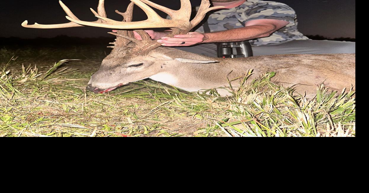 Deer manager says letting young guys walk key component to producing ...