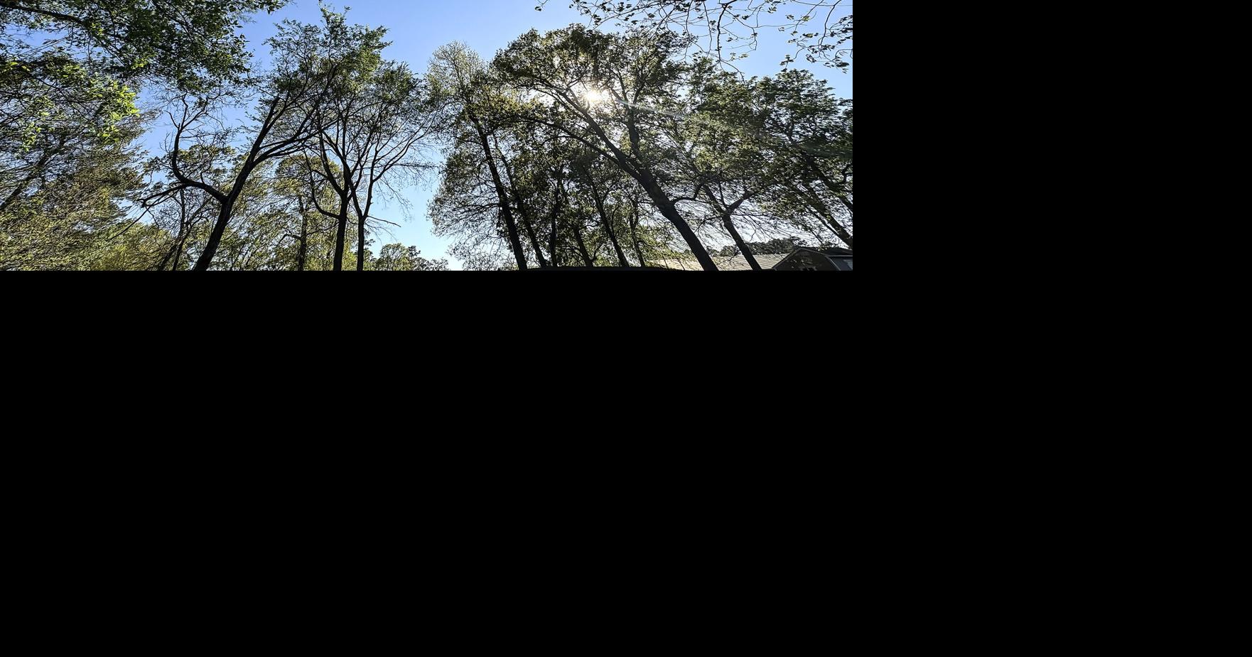 STALLARD: Enjoying the fruits of someone else's gardening | Charm ...