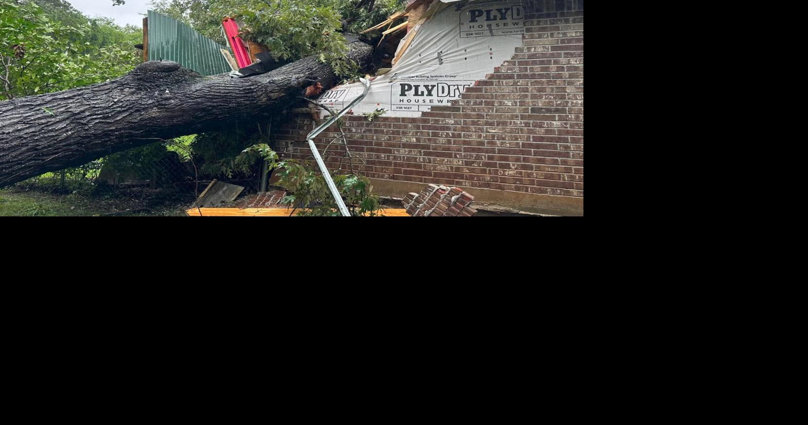 Beryl leaves widespread power outages, downed trees in its wake ...