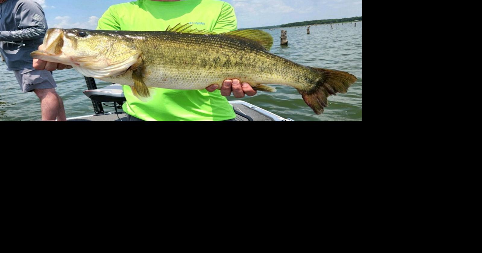 Fish Tales: Not all bites are created equal | Outdoors ...