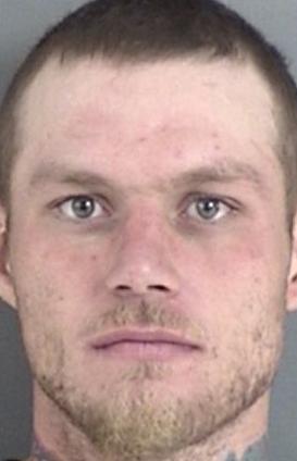 POLICE REPORTS: Diboll Police search for suspect after woman reportedly ...