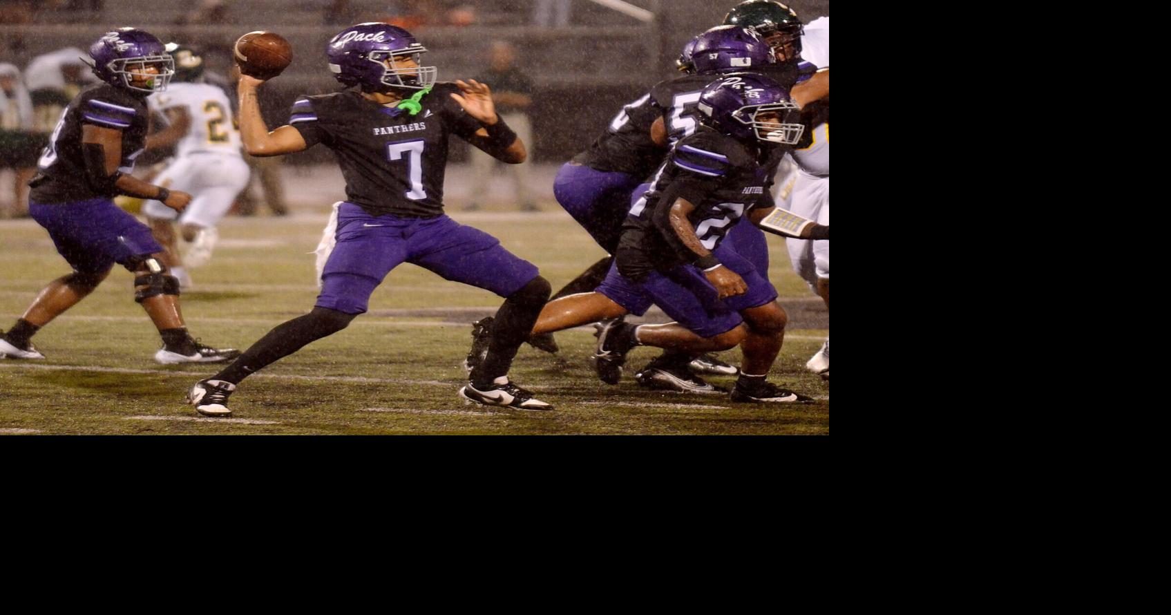 Panthers lose close one to Lobos, 7-3 | Sports | lufkindailynews.com